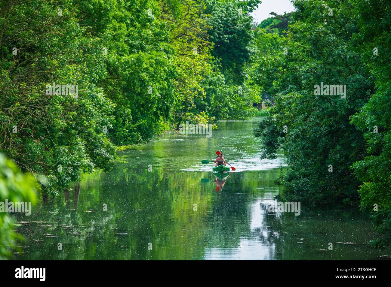 France, Deux Sevres, Marais Poitevin Interregional Park labeled Great ...