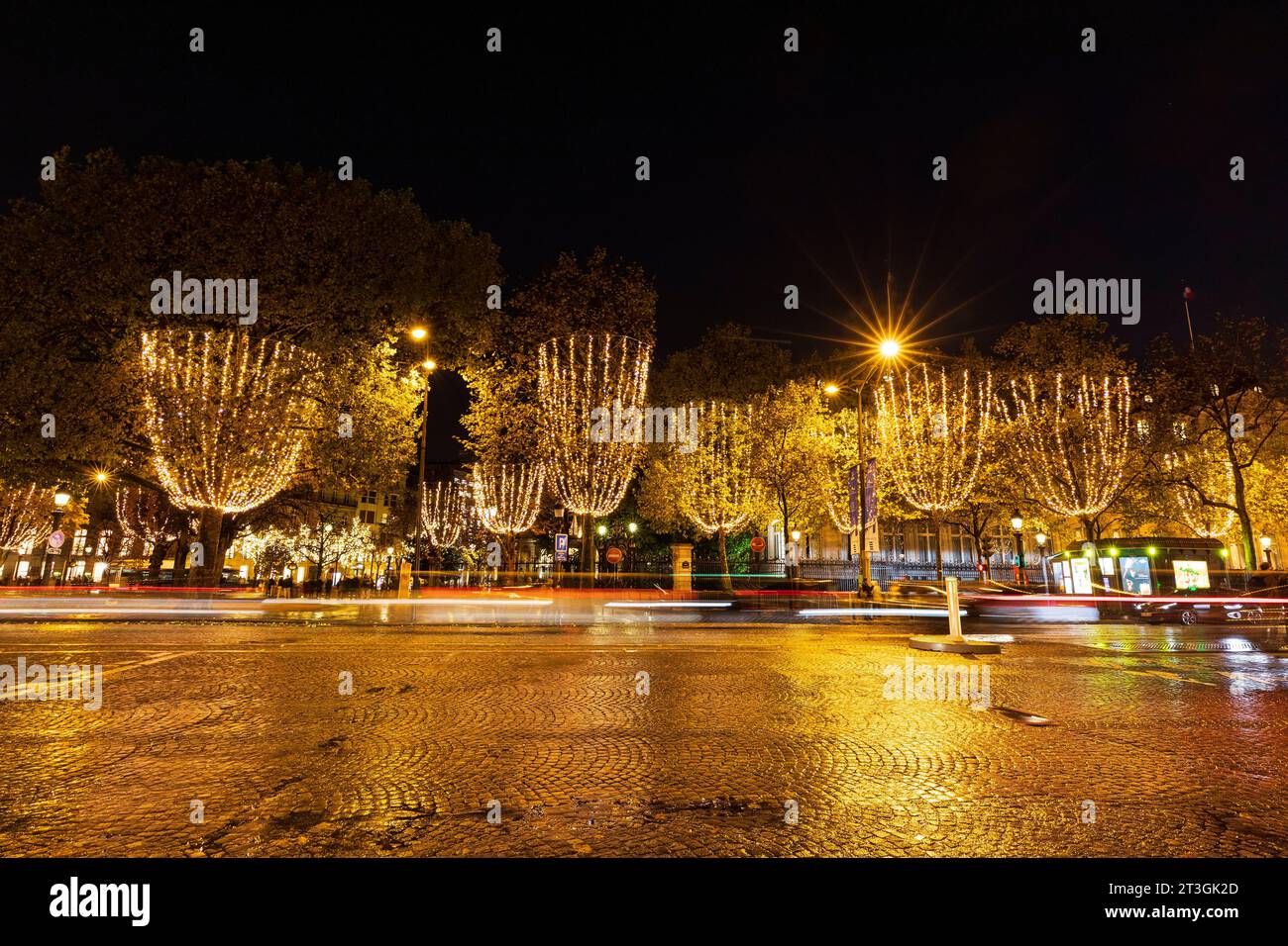 France, Paris, The Champs Elysees, Christmas illuminations by Blachere ...
