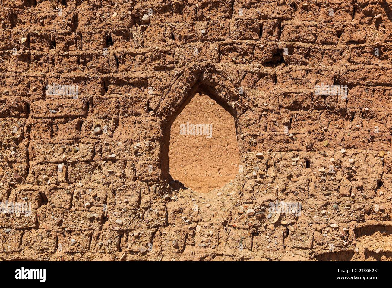 Animal ibri hi-res stock photography and images - Alamy