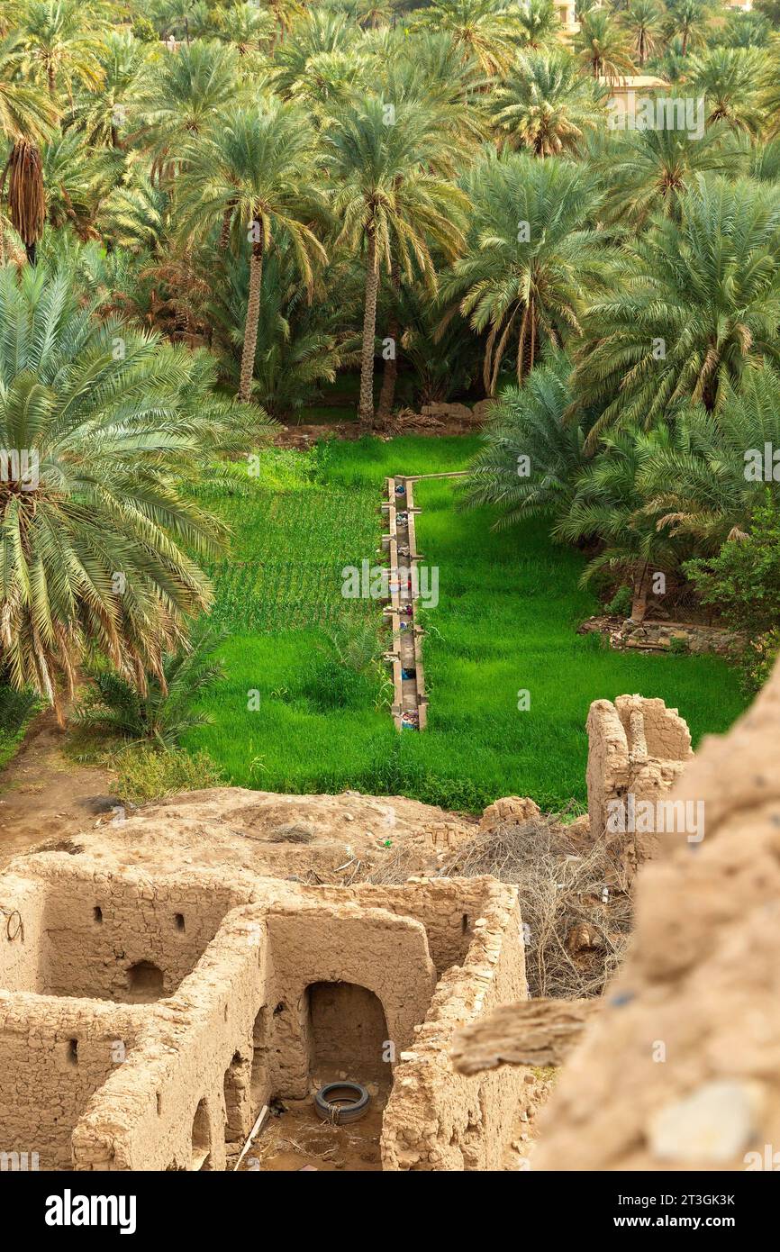 Sultanate of Oman, Ibri Region, Bat, oasis, irrigation canal Stock Photo - Alamy