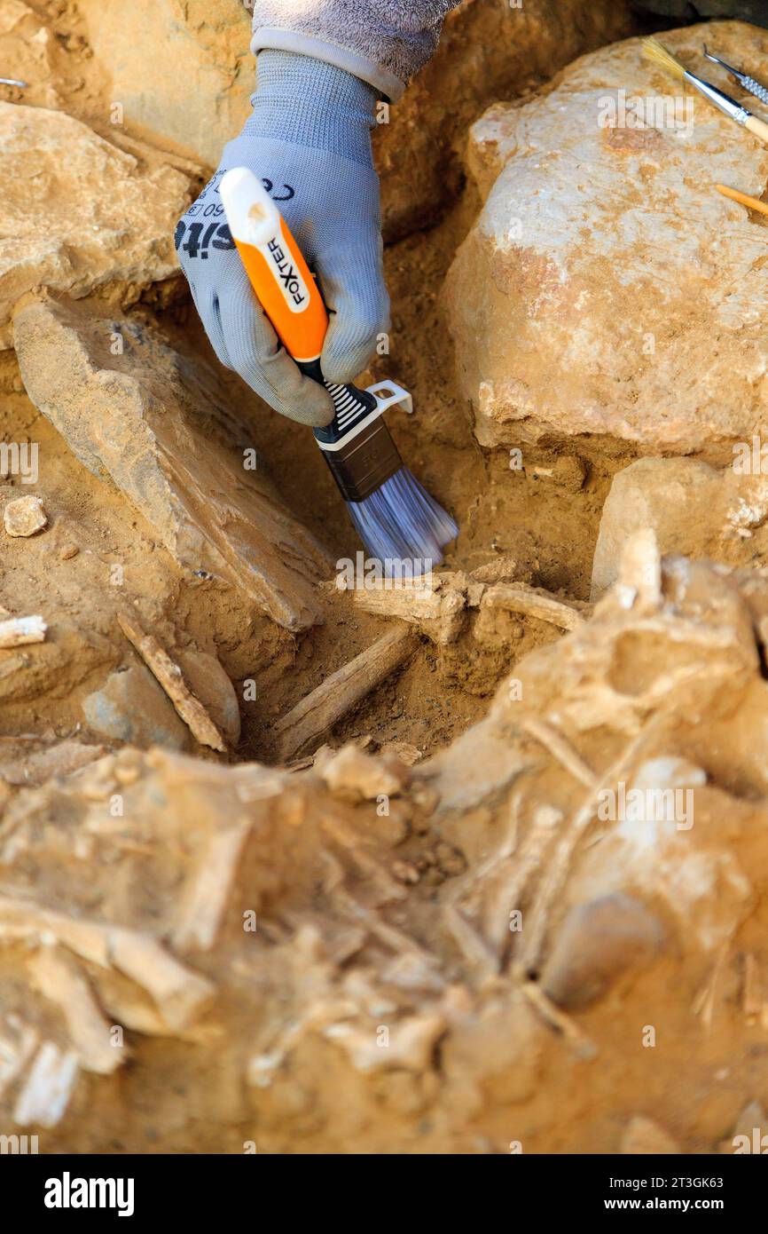 Sultanate of Oman, Ibri region, Al Arid, archaeological excavation ...