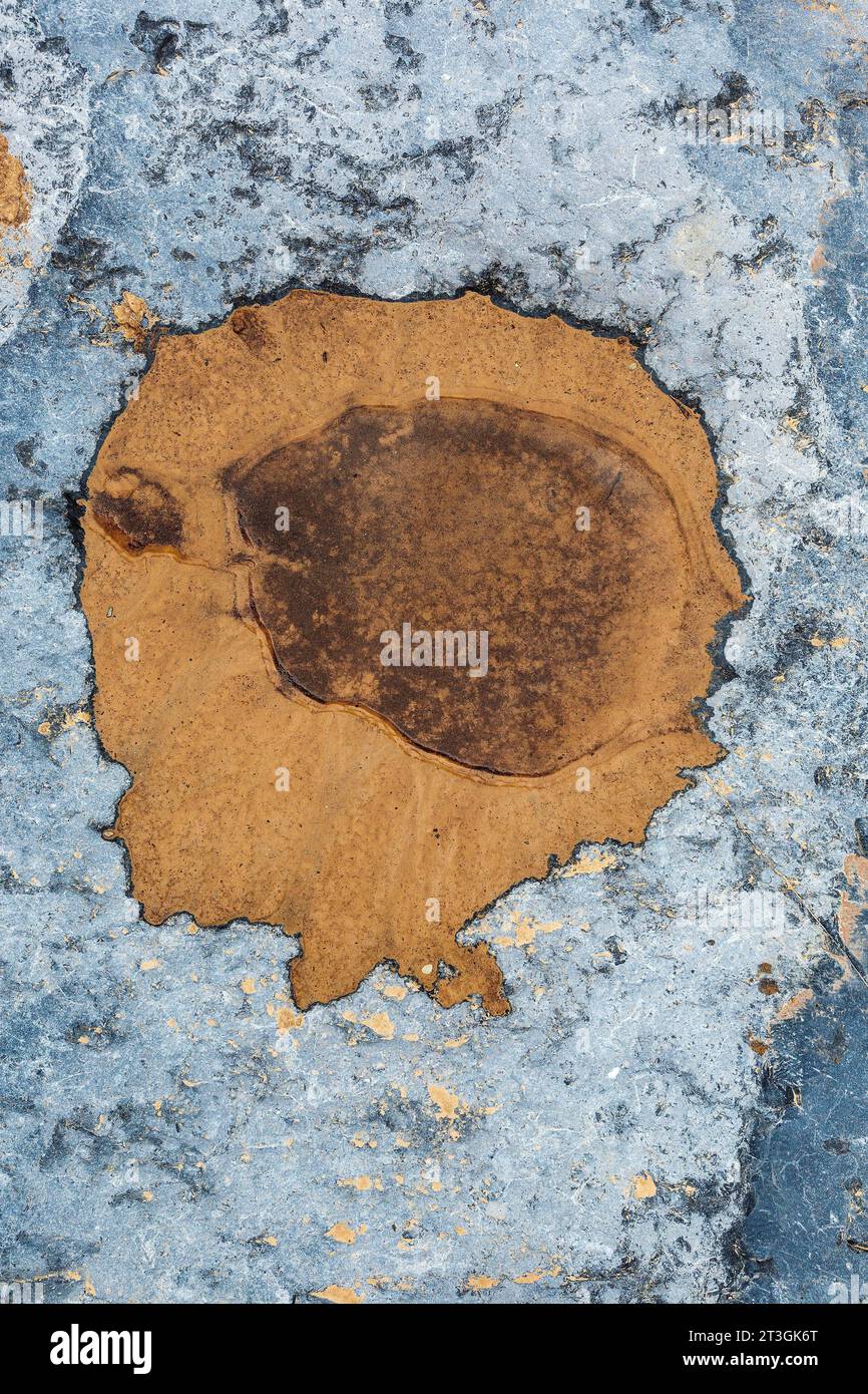 Sultanate of Oman, Ibri Region, Damm, Wadi Damm Stock Photo - Alamy