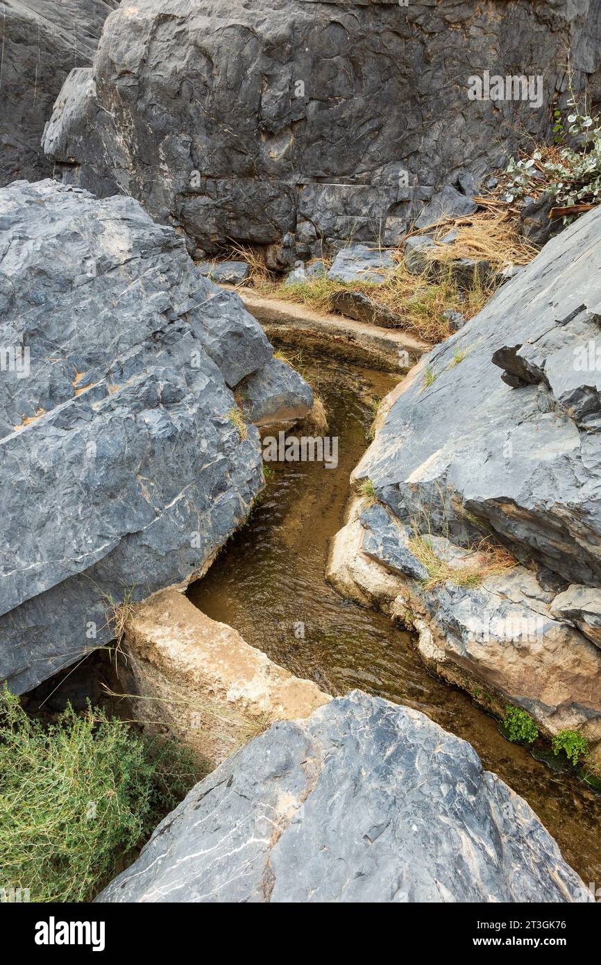 Sultanate of Oman, Ibri Region, Damm, Wadi Damm, canal, irrigation ...