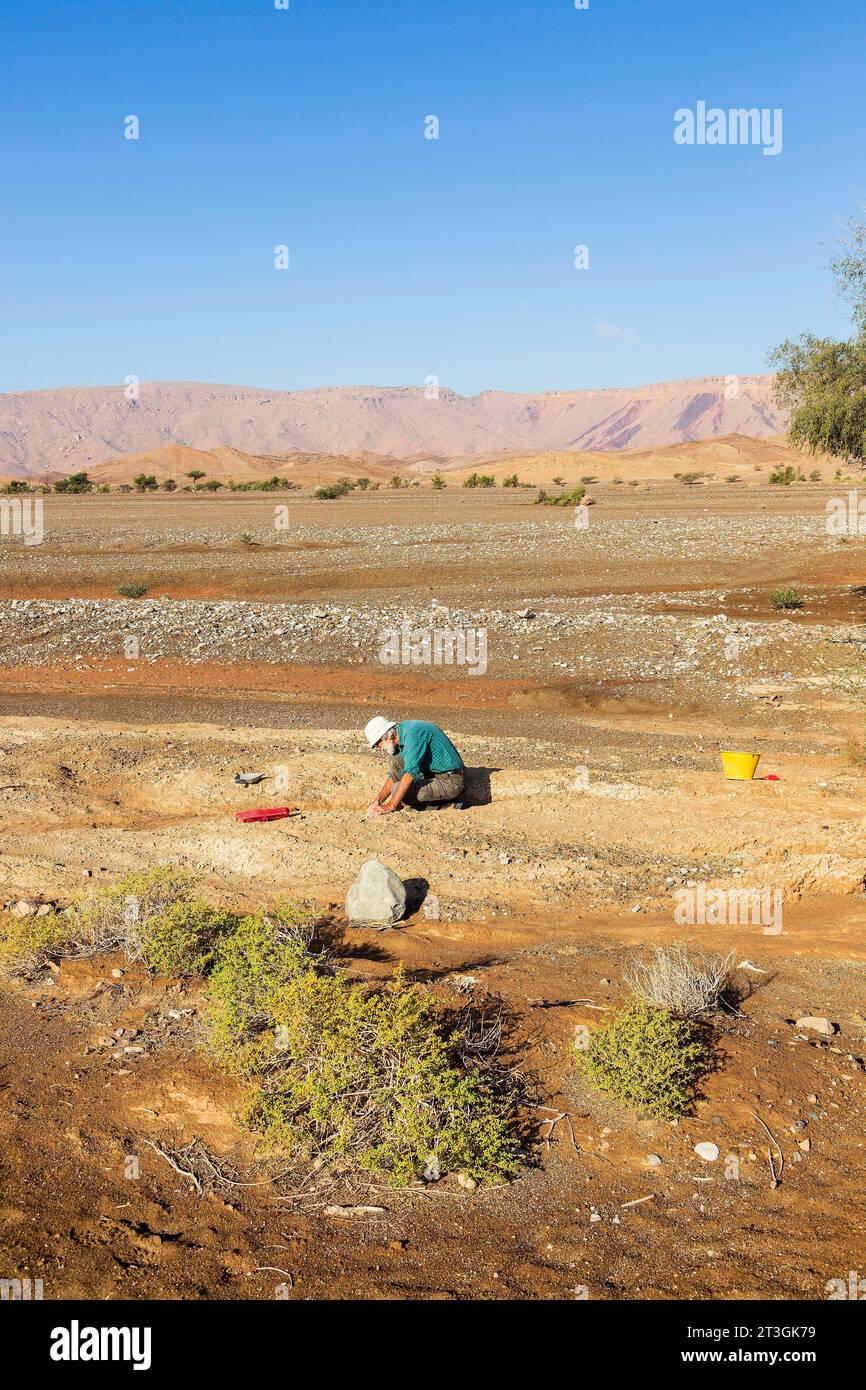 Sultanate of Oman, Ibri Region, Al Arid, archaeological excavation ...