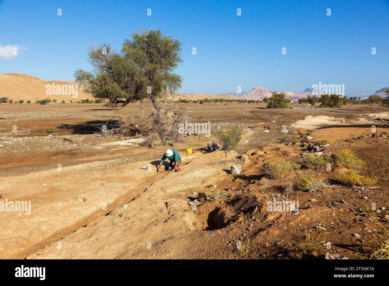 Sultanate of Oman, Ibri Region, Al Arid, archaeological excavation ...