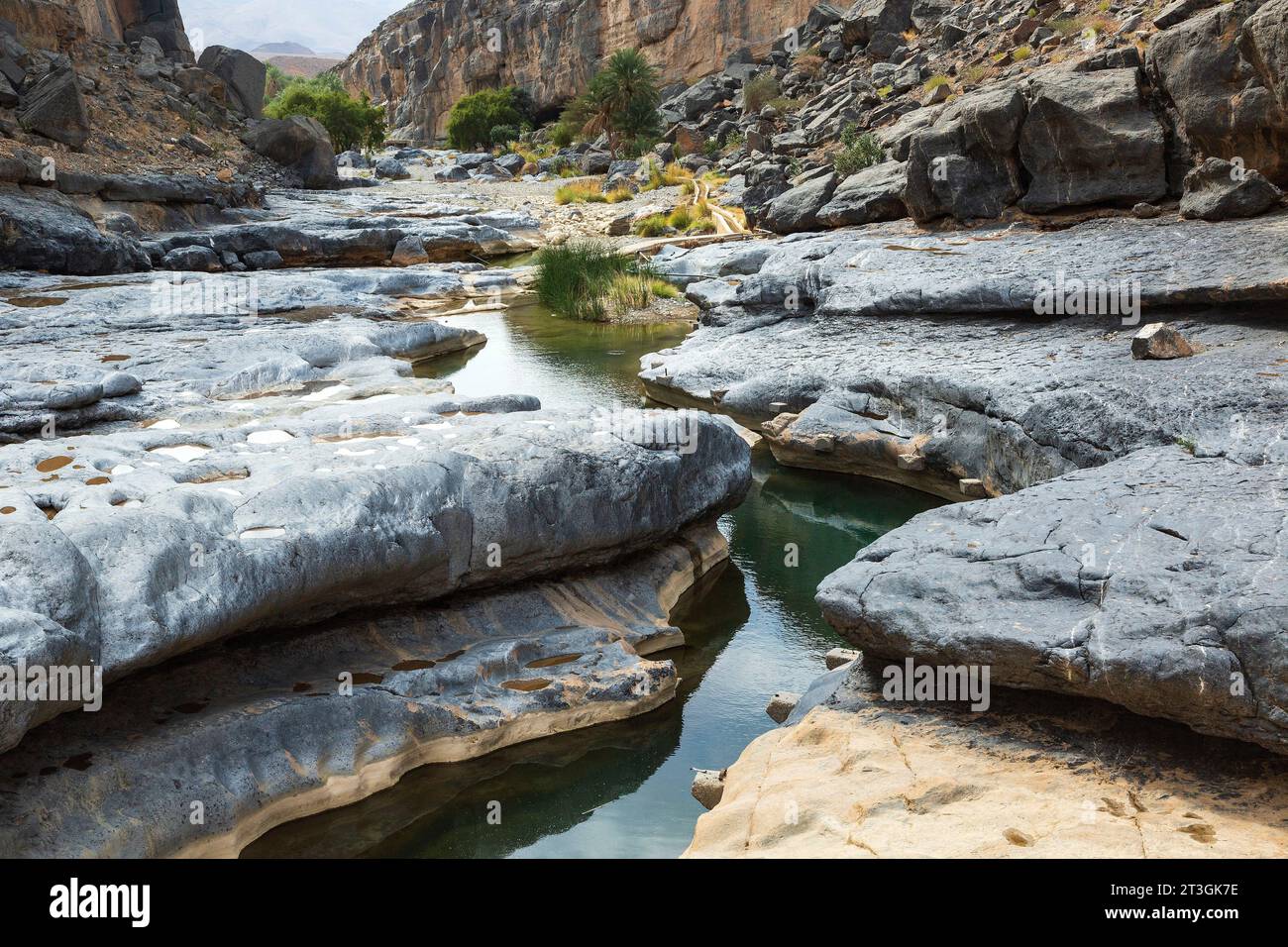 Sultanate of Oman, Ibri Region, Damm, Wadi Damm Stock Photo - Alamy