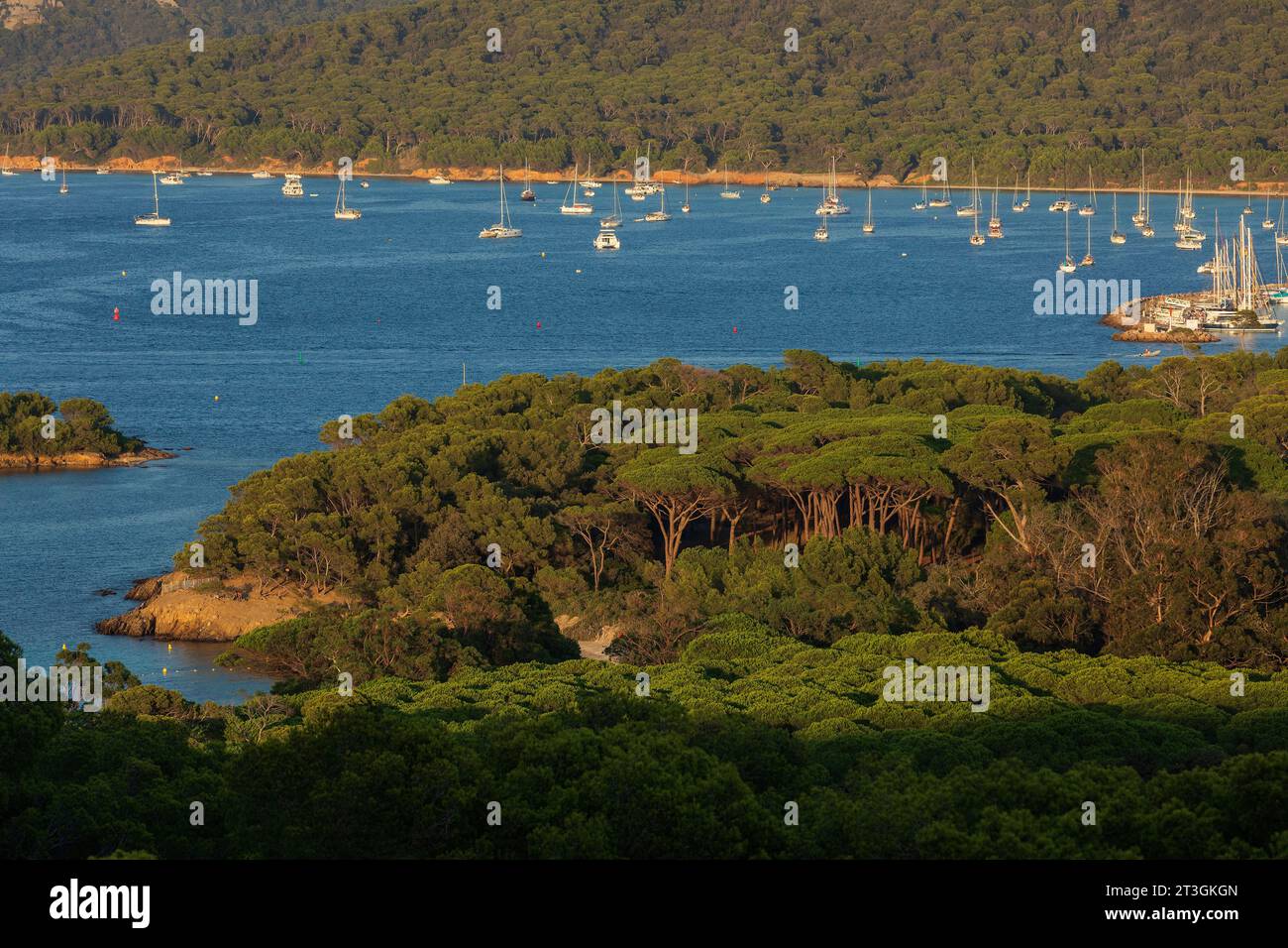 France, Var, Iles d'Hyeres, Port Cros national park, Porquerolles ...