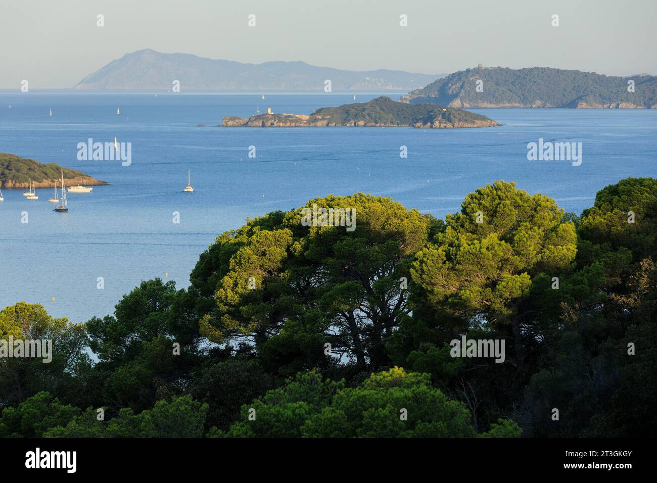 France, Var, Iles d'Hyeres, Port Cros national park, Porquerolles ...