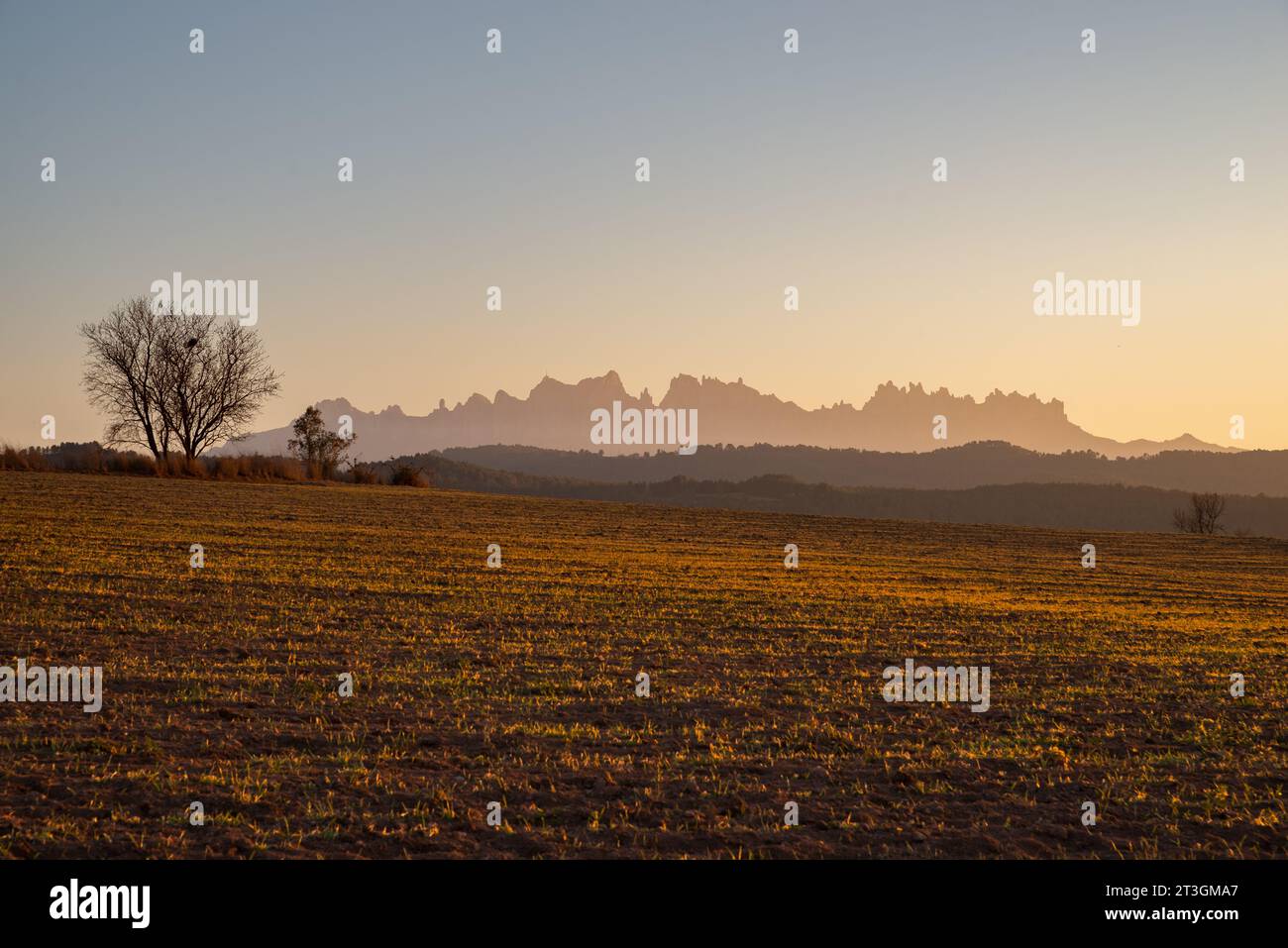 Autumn sunset on the fields around Manresa with a silhouette of ...