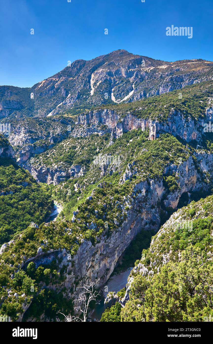 Scenic View of Verdant Valley and Canyon With Majestic Mountain ...