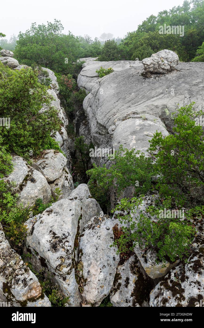 France, Var, Sainte Baume regional natural park, Mazaugues, hike around ...