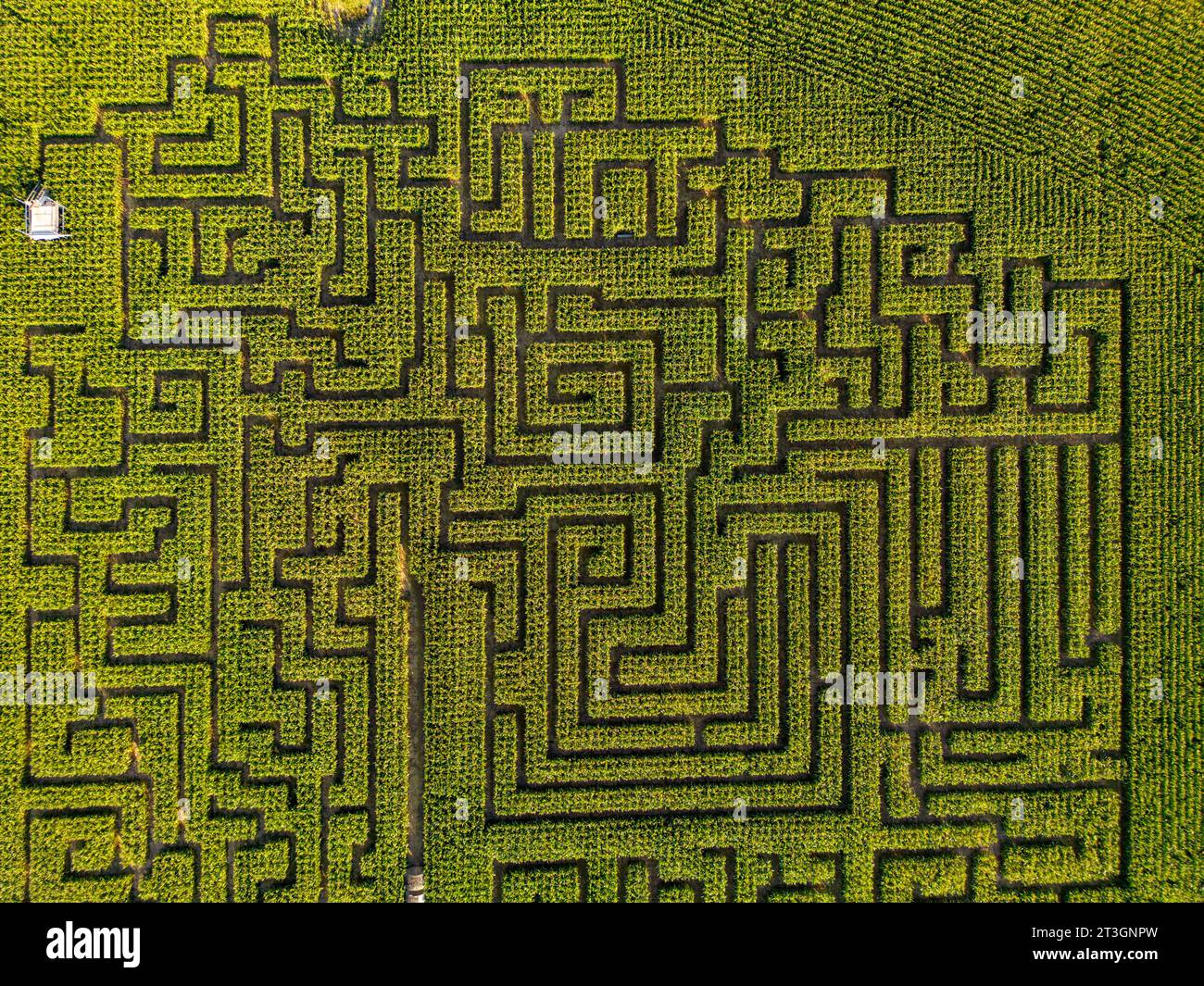 Corn maze aerial hi-res stock photography and images - Alamy