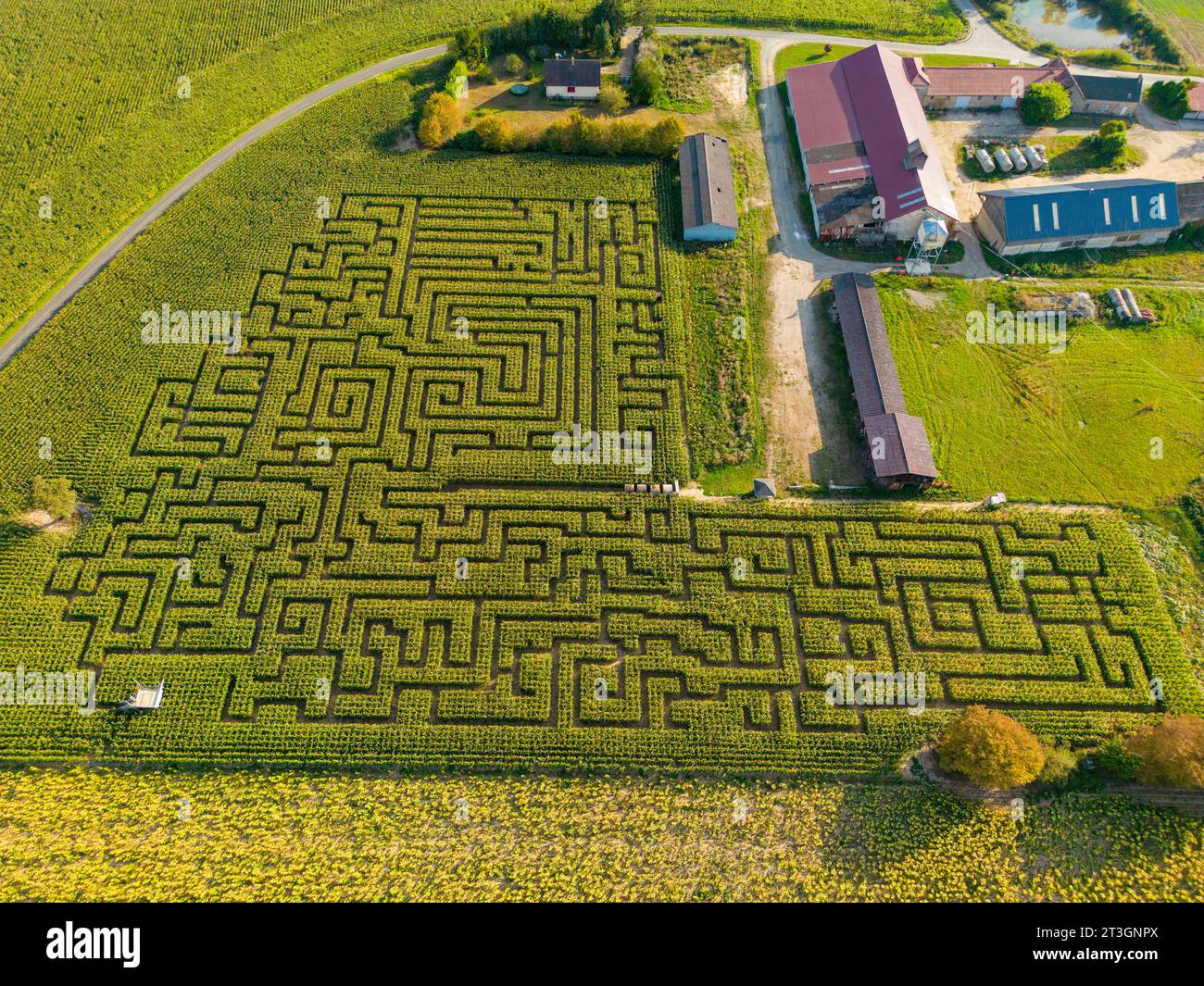 France, Yvelines, Haute Vallee de Chevreuse regional natural park ...