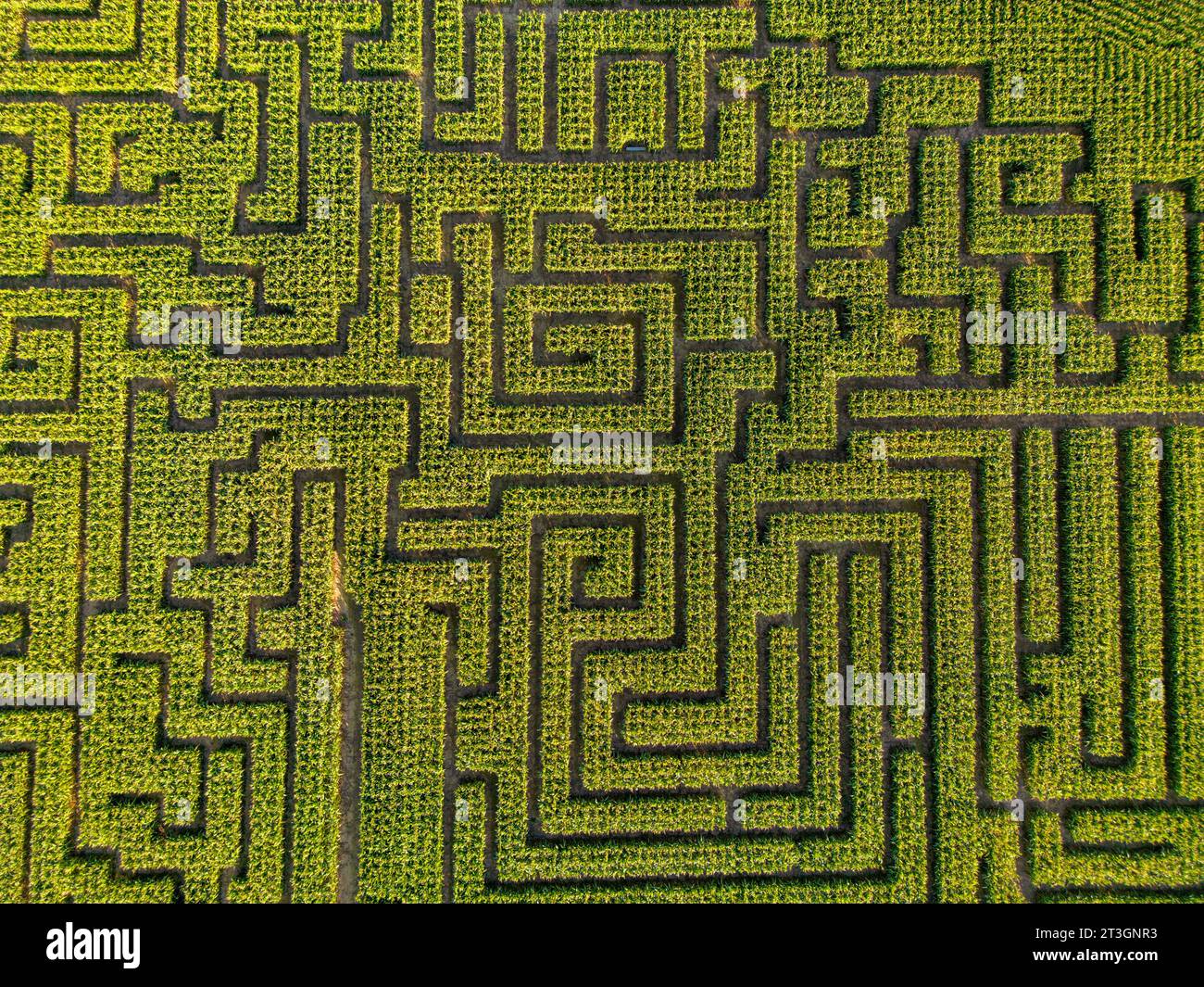 Corn maze aerial hi-res stock photography and images - Alamy