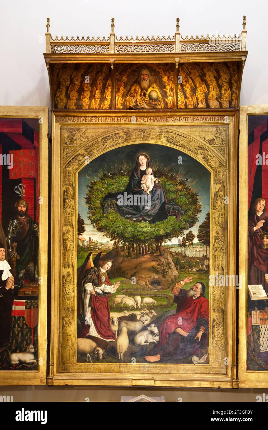 France, Bouches du Rhone, Aix en Provence, Saint Sauveur Cathedral ...