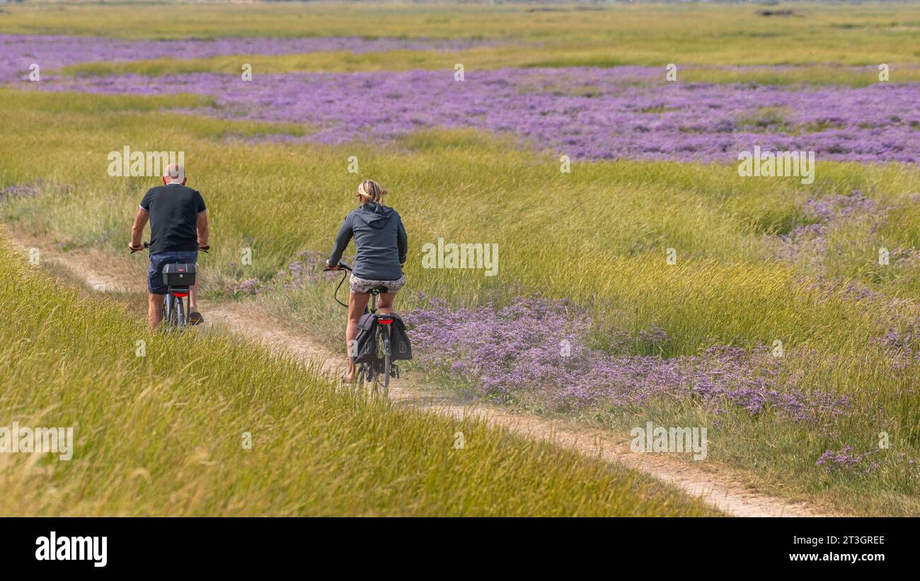France, Somme, Baie de Somme, Cap Hornu, The path between Cap Hornu and ...