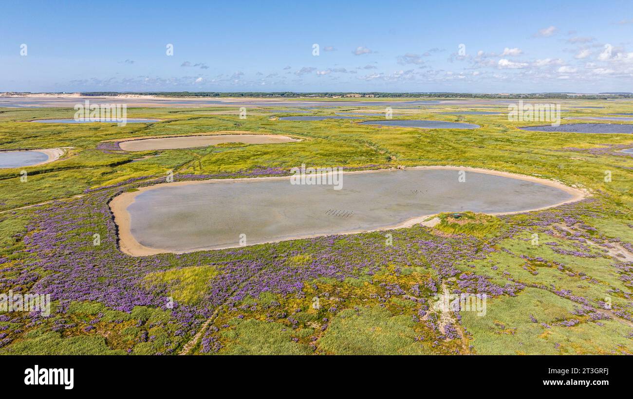 France, Somme, Baie d'Authie, Fort-Mahon, Baie d'Authie covered with ...