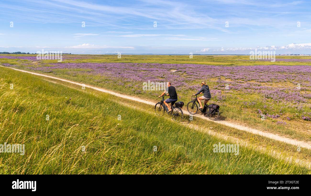 France, Somme, Baie de Somme, Cap Hornu, The path between Cap Hornu and ...