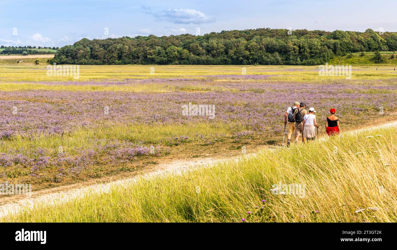 France, Somme, Baie de Somme, Cap Hornu, The path between Cap Hornu and ...