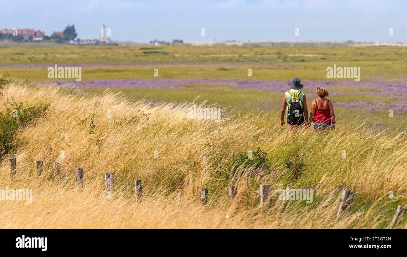 France, Somme, Baie de Somme, Cap Hornu, The path between Cap Hornu and ...