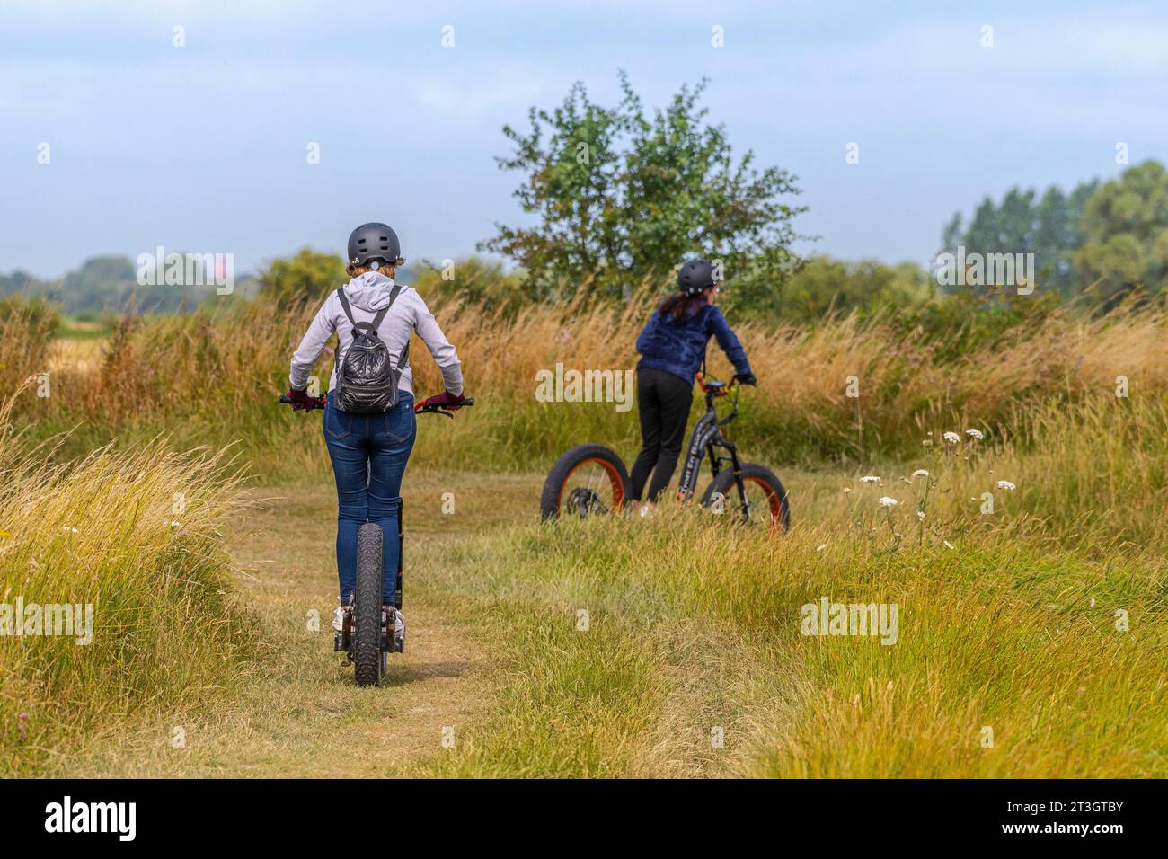 France, Somme, Baie de Somme, Cap Hornu, The path between Cap Hornu and ...