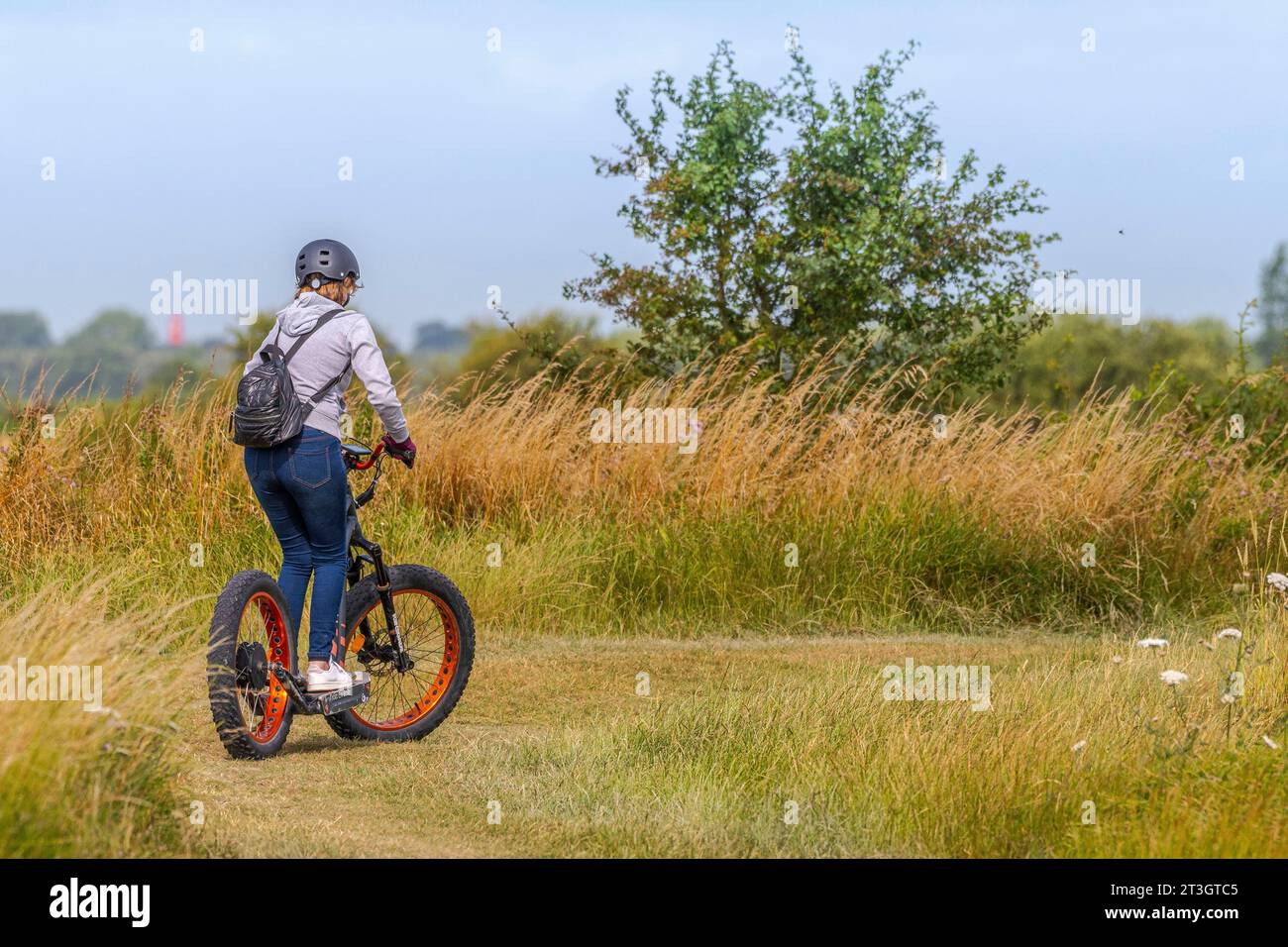 France, Somme, Baie de Somme, Cap Hornu, The path between Cap Hornu and ...