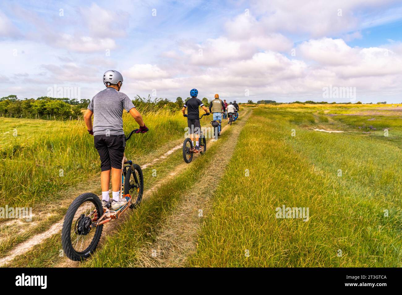 France, Somme, Baie de Somme, Cap Hornu, The path between Cap Hornu and ...