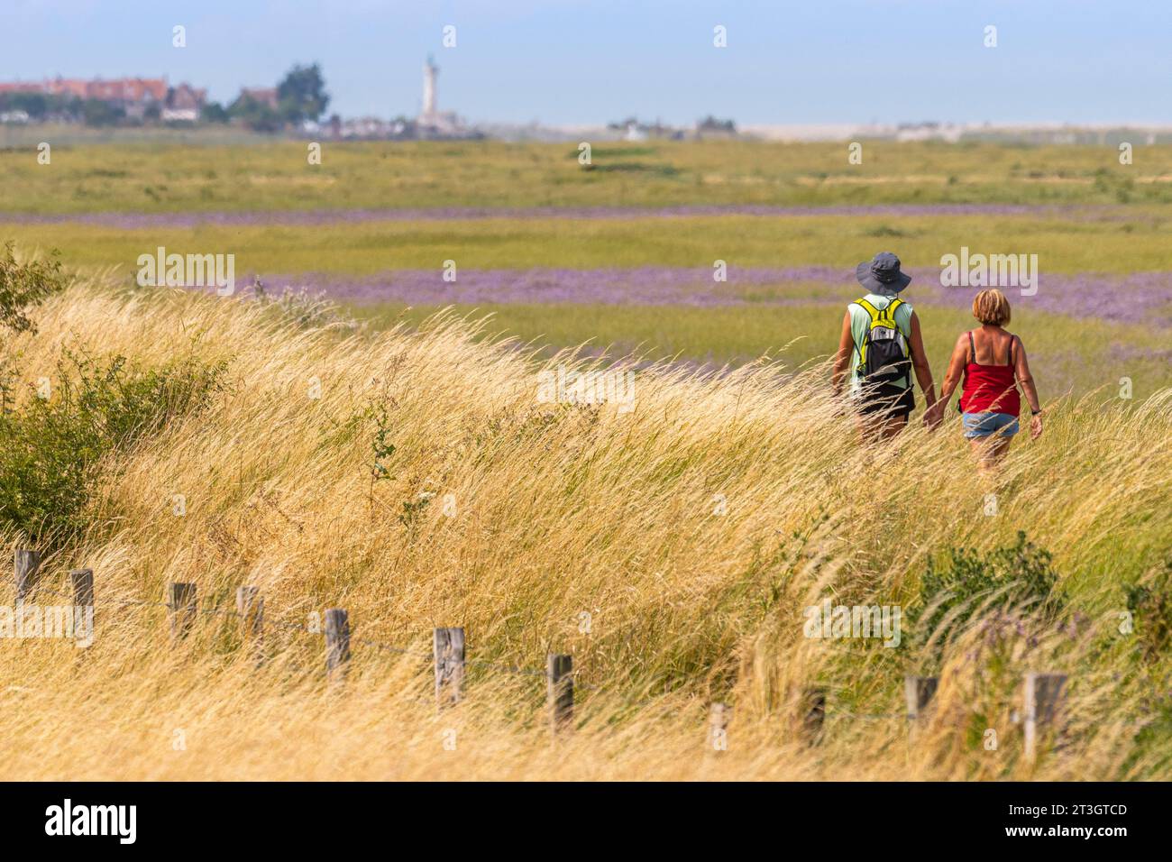 France, Somme, Baie de Somme, Cap Hornu, The path between Cap Hornu and ...