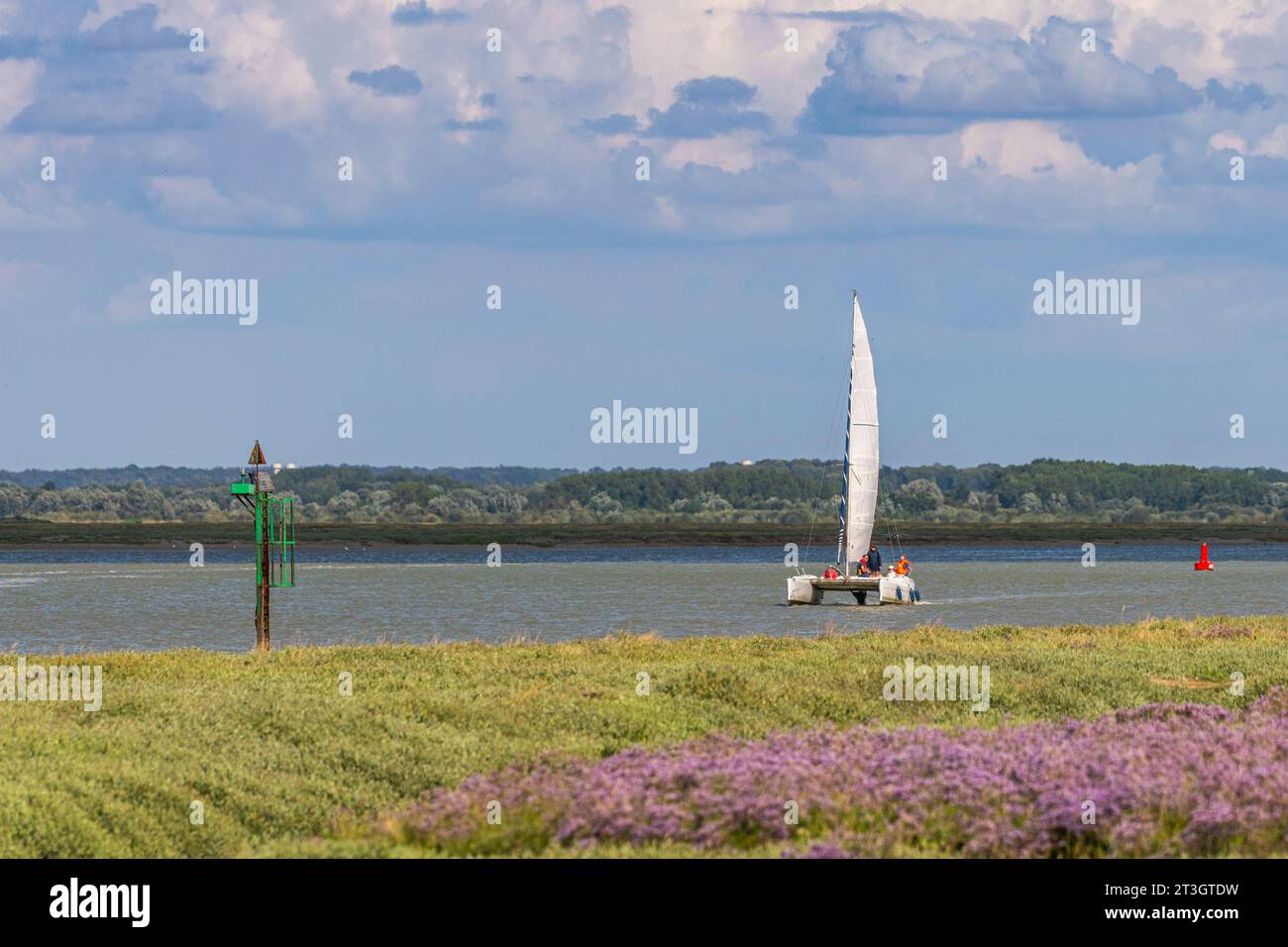 France, Somme, Bay of the Somme, Saint-Valery-sur-Somme, Cape Hornu ...