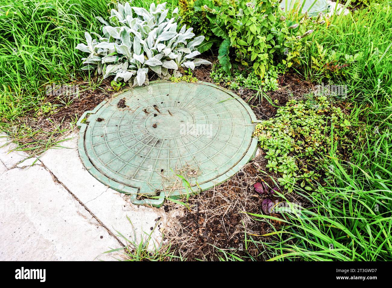 Covered sewer manhole with green plastic cover, sewage system. Sewerage ...