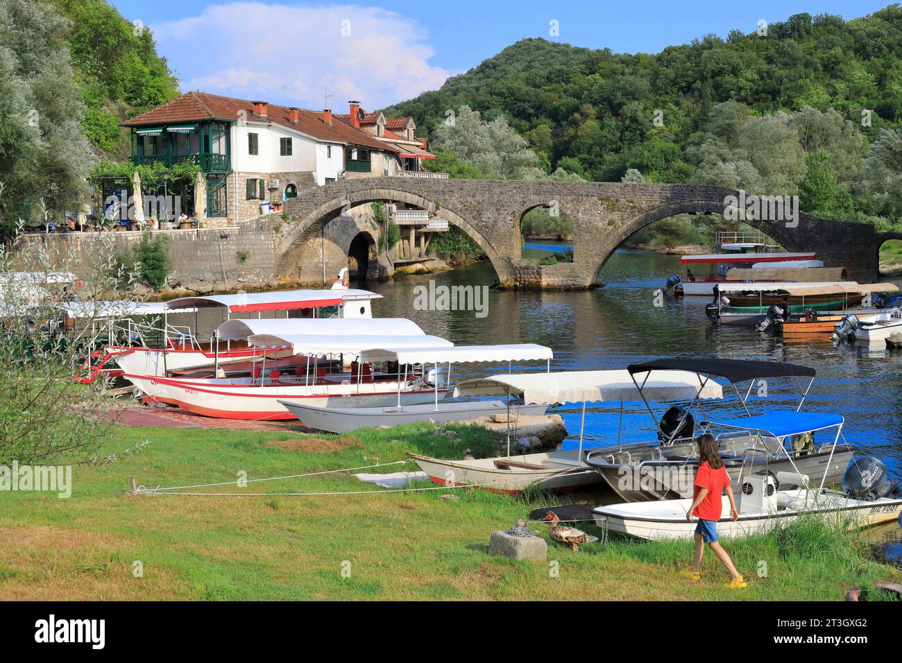 Montenegro, Skadar Lake (Shkodra Lake), Skadar National Park, Rijeka Crnojevica and its old ...