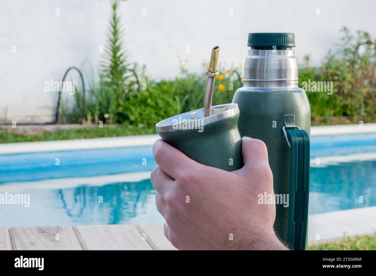 Young man drinking mate in the morning in front of the pool Stock Photo ...