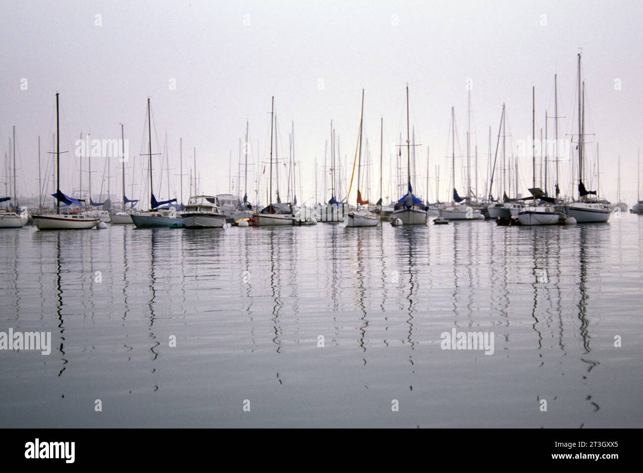 San diego marina area hi-res stock photography and images - Alamy
