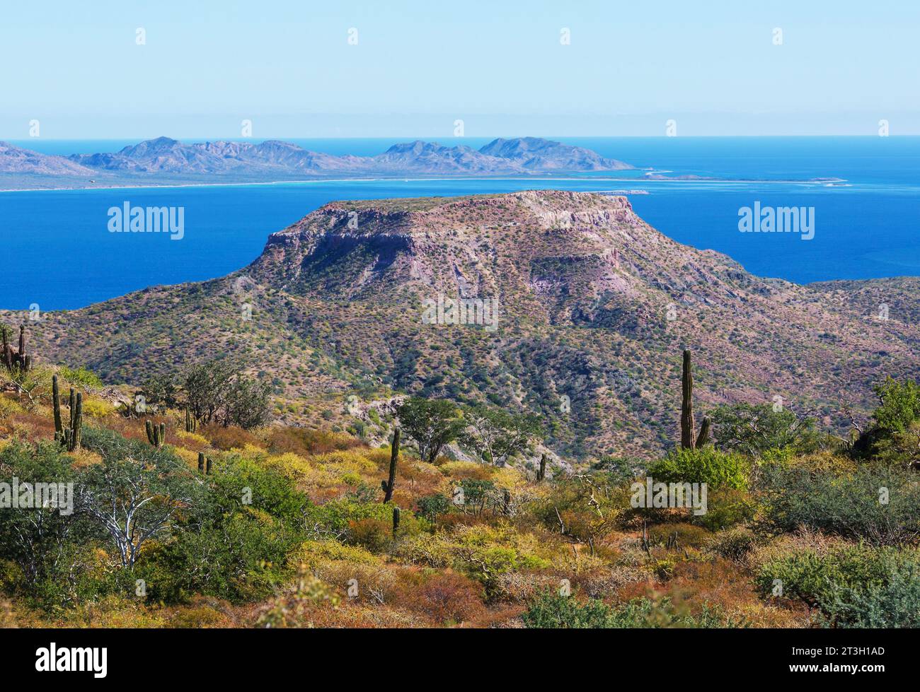 Beautuful landscapes in Baja California, Mexico. Travel background ...