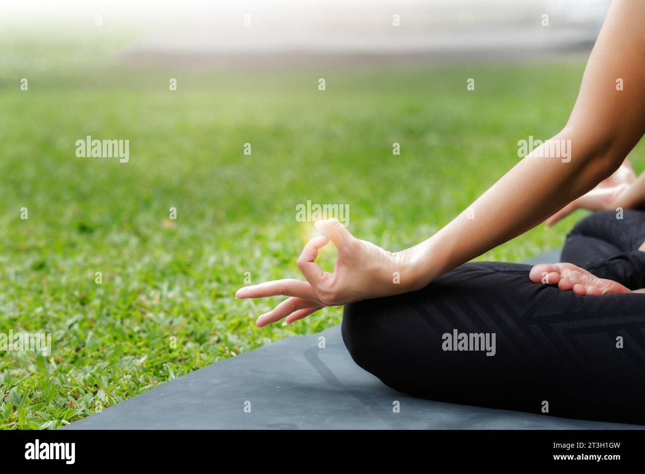 Root bond pose hi-res stock photography and images - Alamy