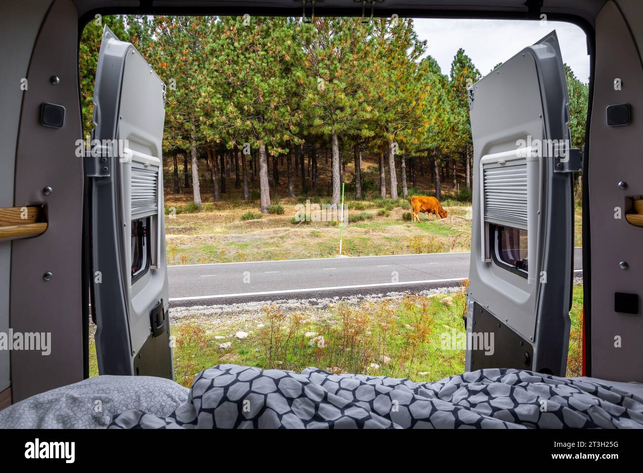 Camper van with opened back doors and bed with pine forest and rural ...