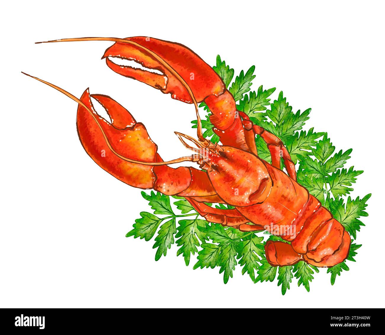 Watercolor seafood illustration, red lobster isolated on white ...