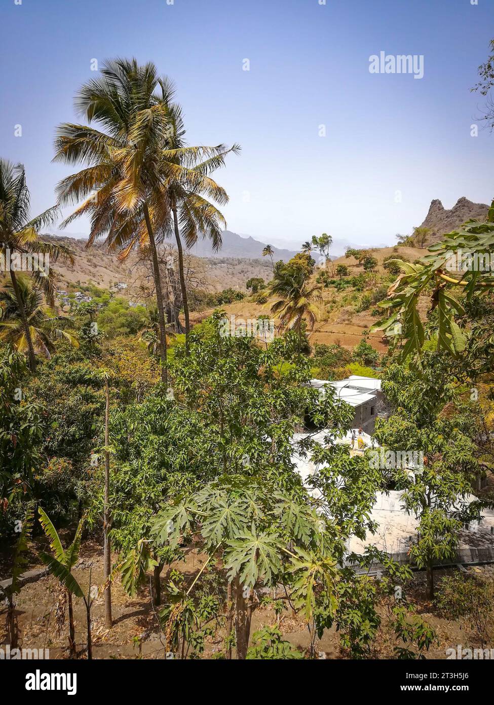 A mountain and tropical forest landscape in the Cape Verde Islands ...