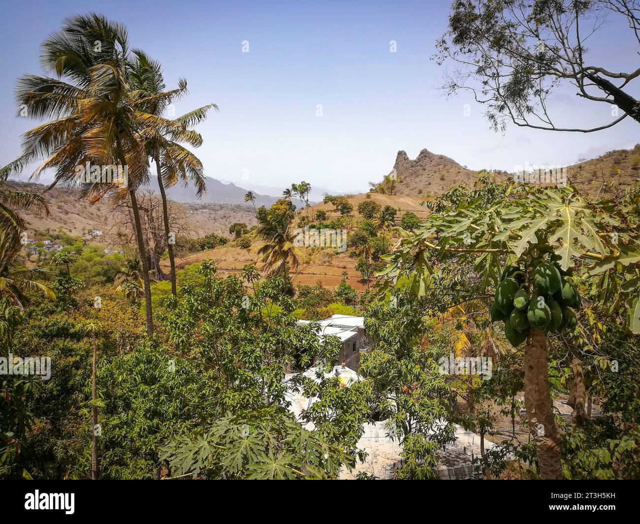 Santo antao cape verde forest hi-res stock photography and images - Alamy