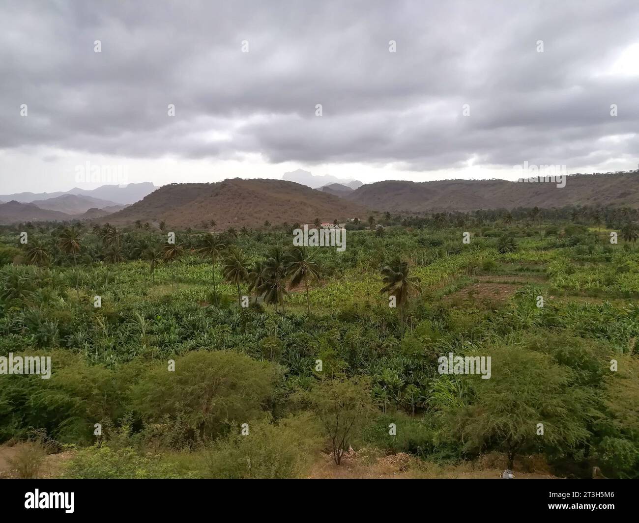 A mountain and tropical forest landscape in the Cape Verde Islands ...