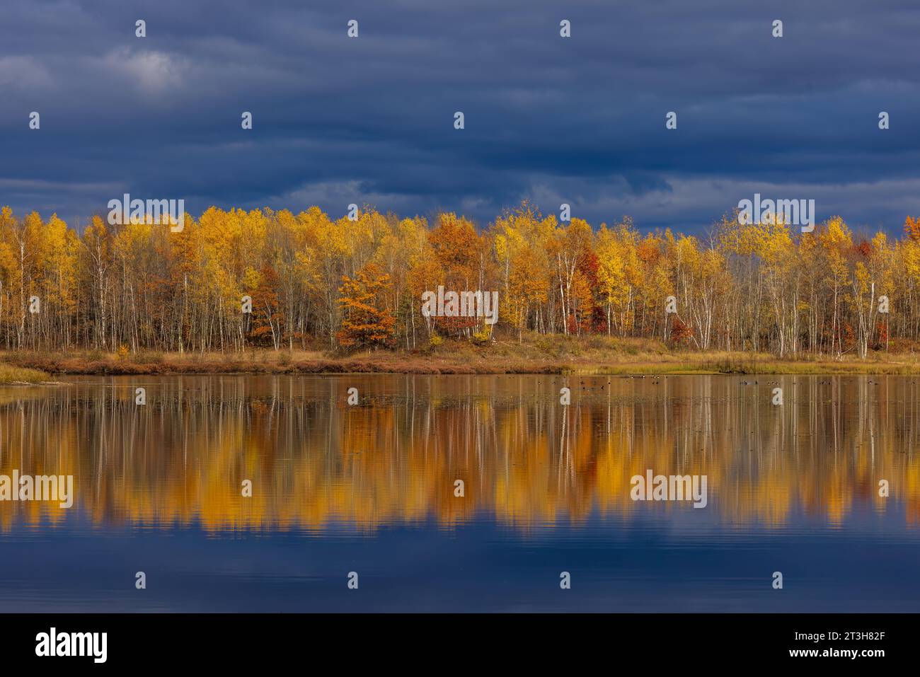 Contrast colors in landscape hi-res stock photography and images - Alamy