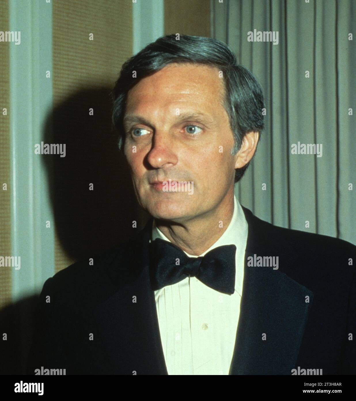 1979 Alan Alda John Barrett/PHOTOlink.net Stock Photo - Alamy