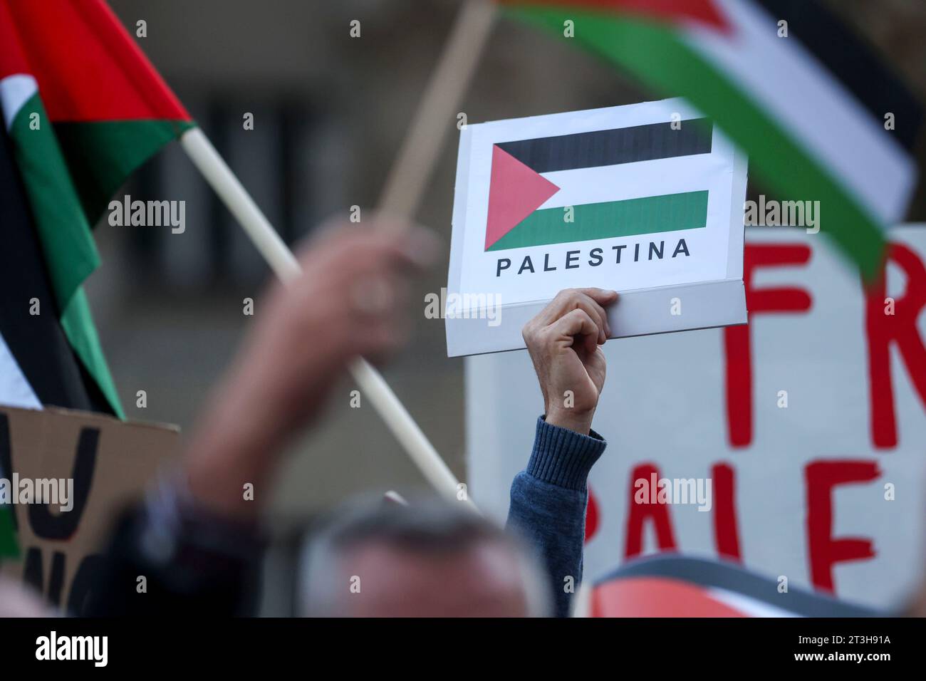 Zagreb, Croatia. 25th Oct, 2023. Protest in Solidarity with Palestine ...
