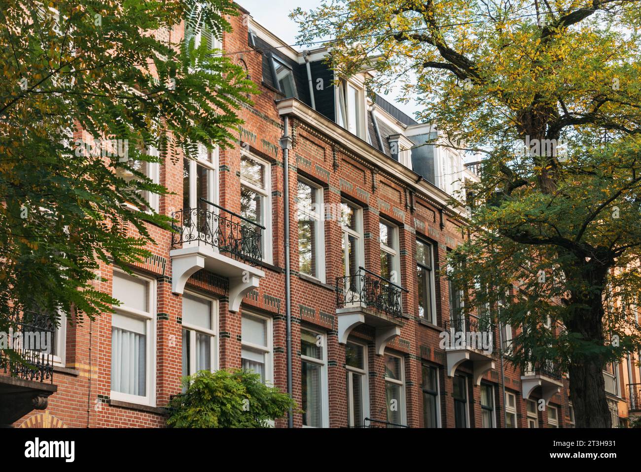 Trees and brick apartment building windows on Willemsparkweg, a ...