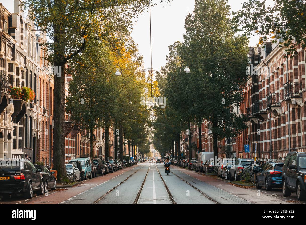 Trees and brick apartment buildings line Willemsparkweg, a residential ...