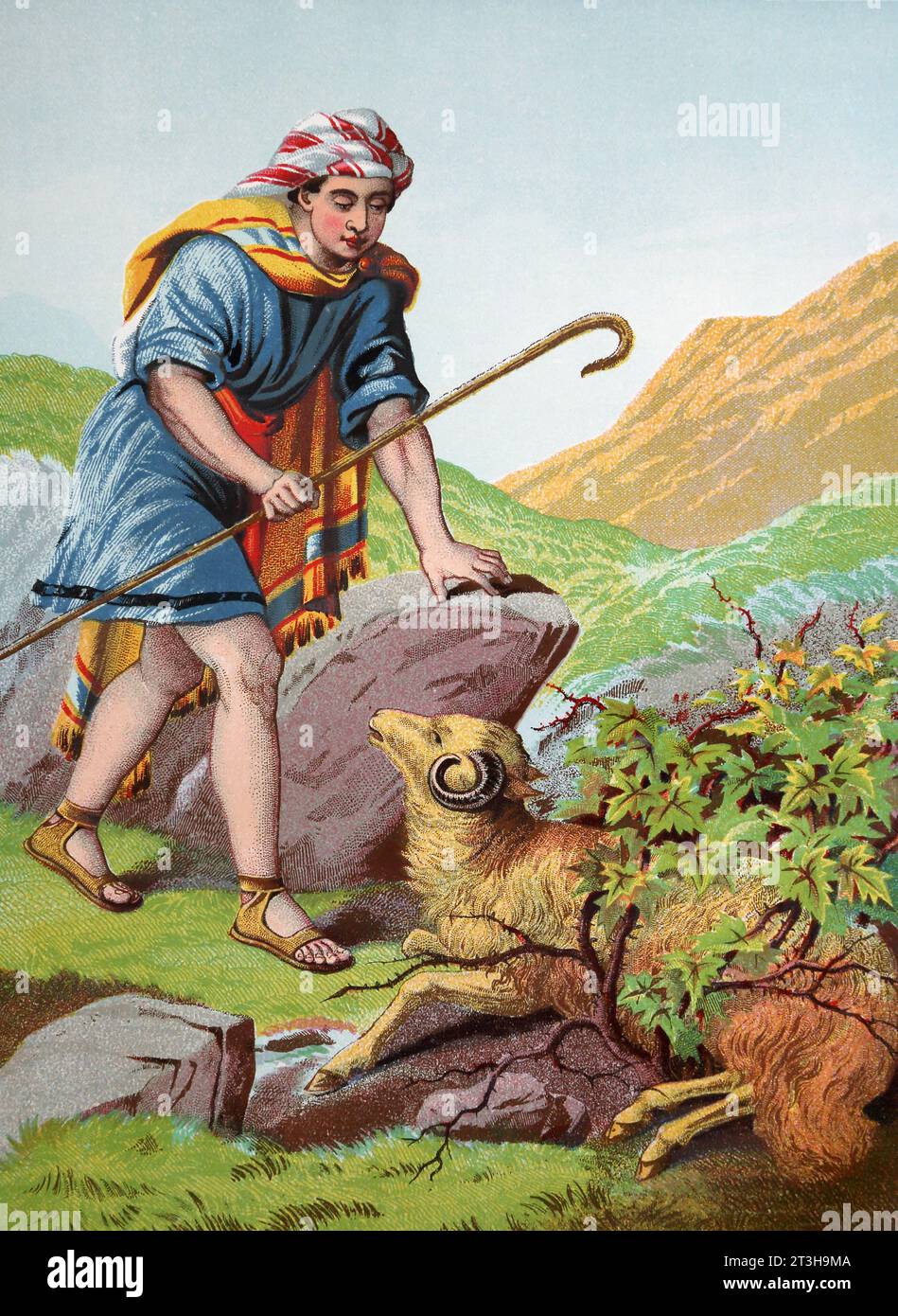 Illustration of Parable of the Lost Sheep Gospel of Luke New Testament ...