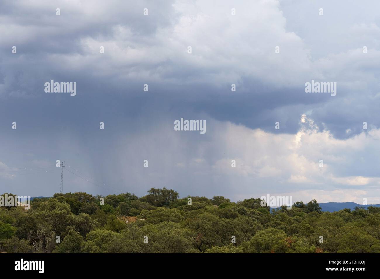 Stormy rain clouds with shades of blue and gray over the forest, it is ...