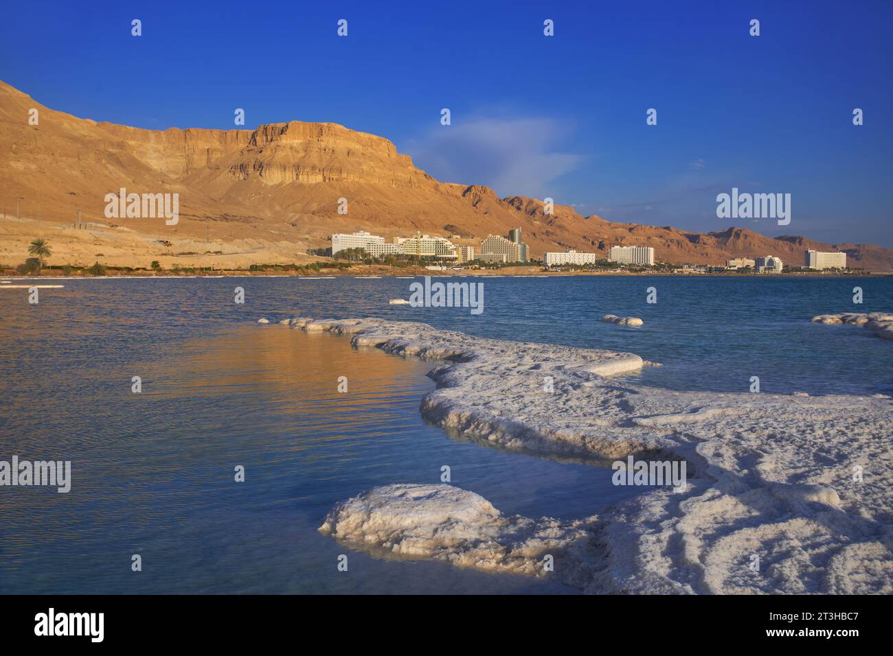Salt deposits, typical landscape of the Dead Sea, Israel Stock Photo - Alamy