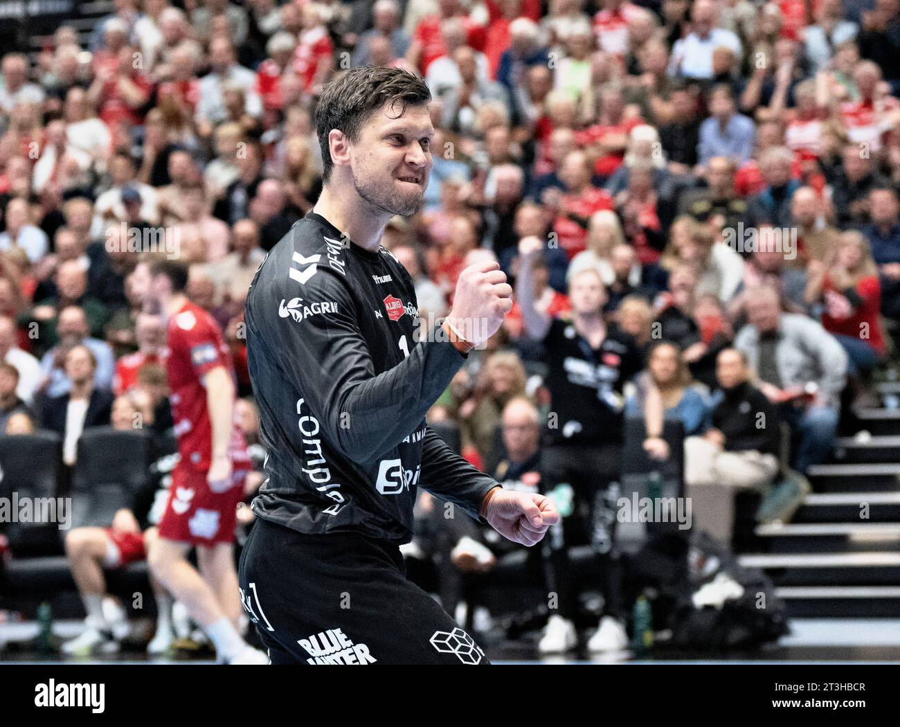 Aalborg Handball's goalkeeper Niklas Landin in the Champions League men ...