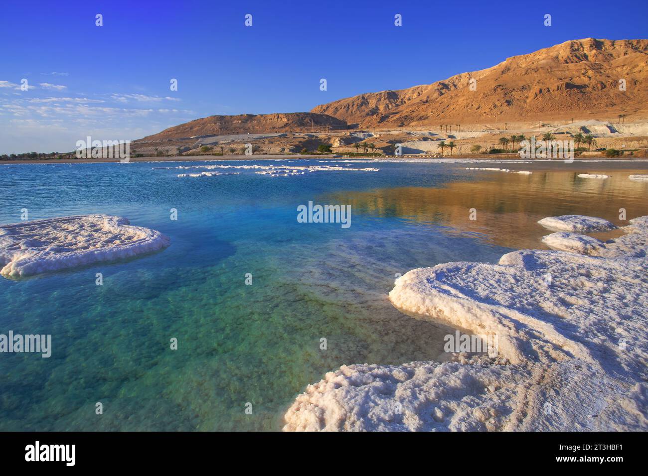 Salt deposits, typical landscape of the Dead Sea, Israel Stock Photo - Alamy